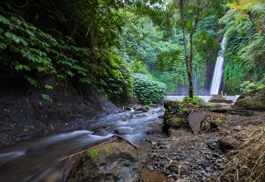 Wanangiri Pucak Manik Waterfall in Bali: A Bali's Nature Escape