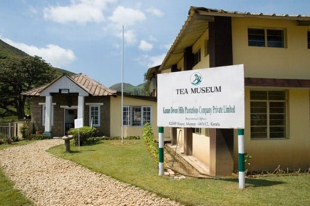 Explore the Top 14 Tea Plantations in Kerala: A Complete Guide