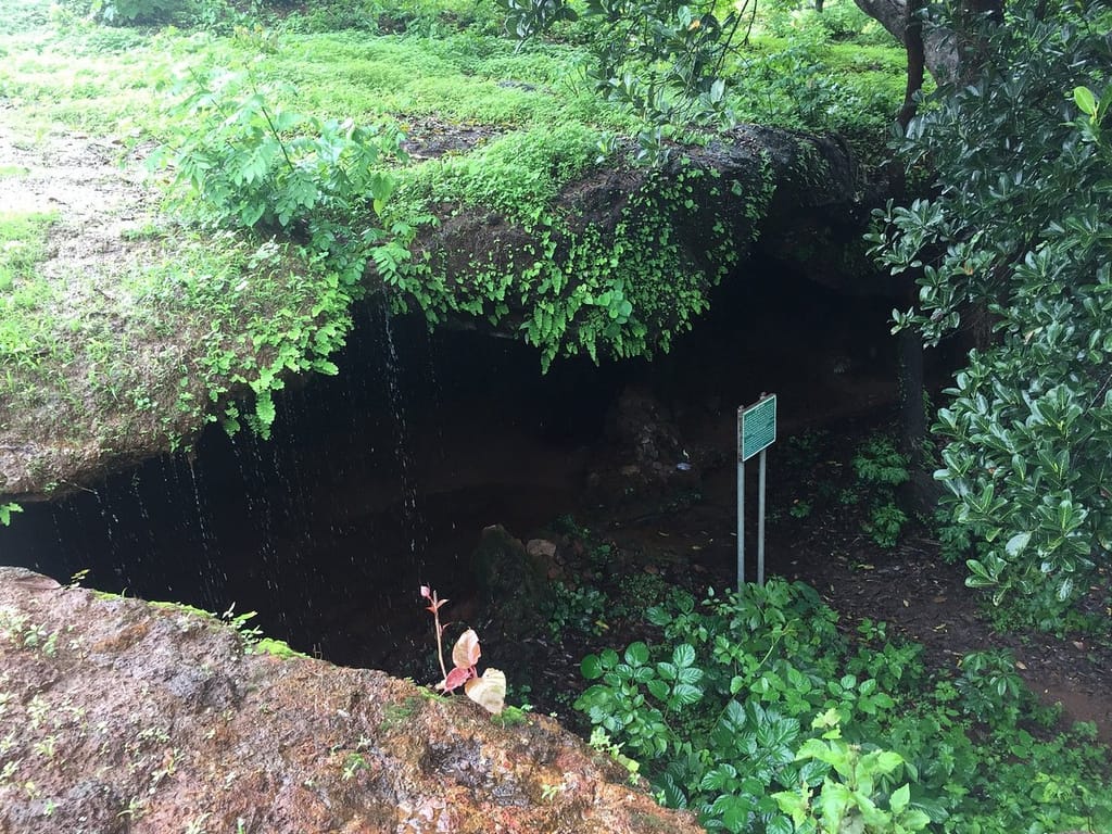 Top 9 Must-Visit Places in Quepem, Goa | Top Attractions