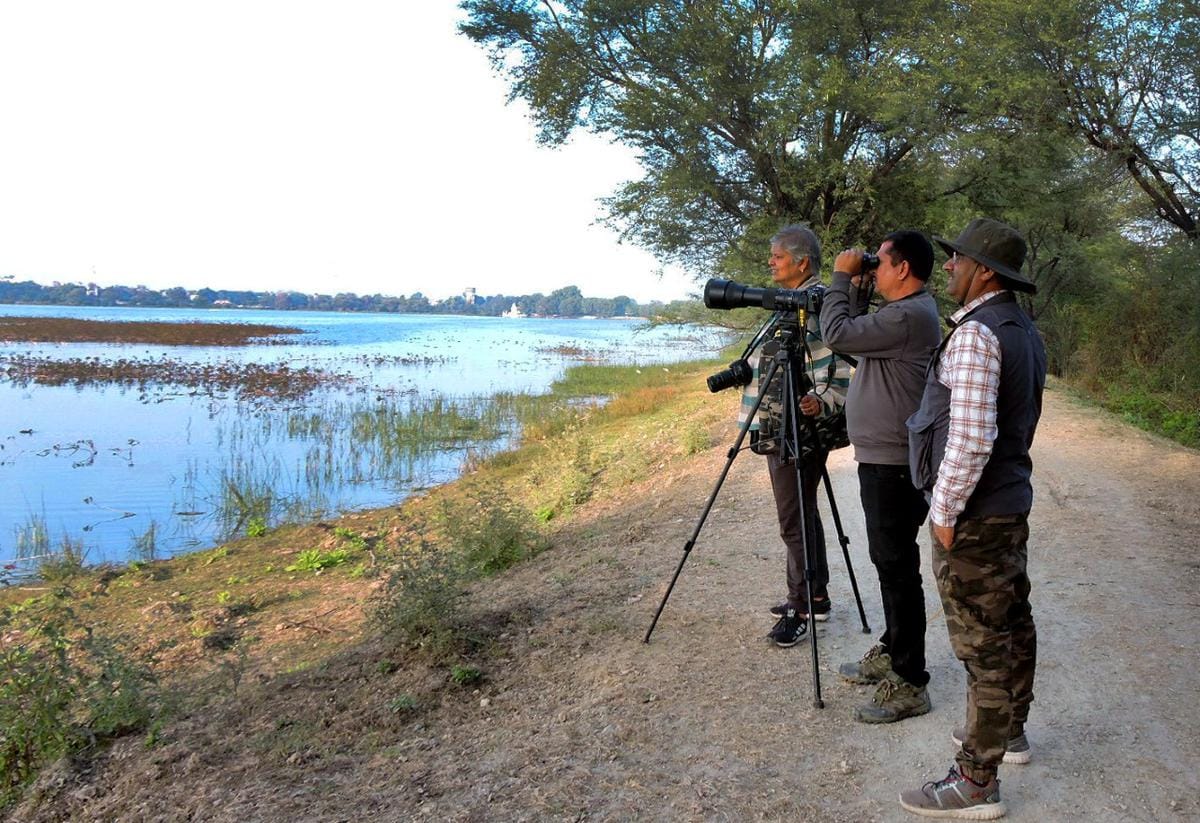 Menar in Udaipur: Ultimate Spot for Scenic Views and Wildlife