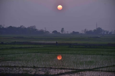 Mayong Village: Discover the Black Magic Capital of India