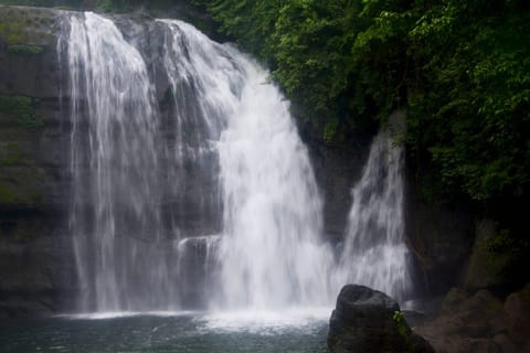 6 Amazing Waterfalls in Shillong: Scenic Spots You Need to Visit