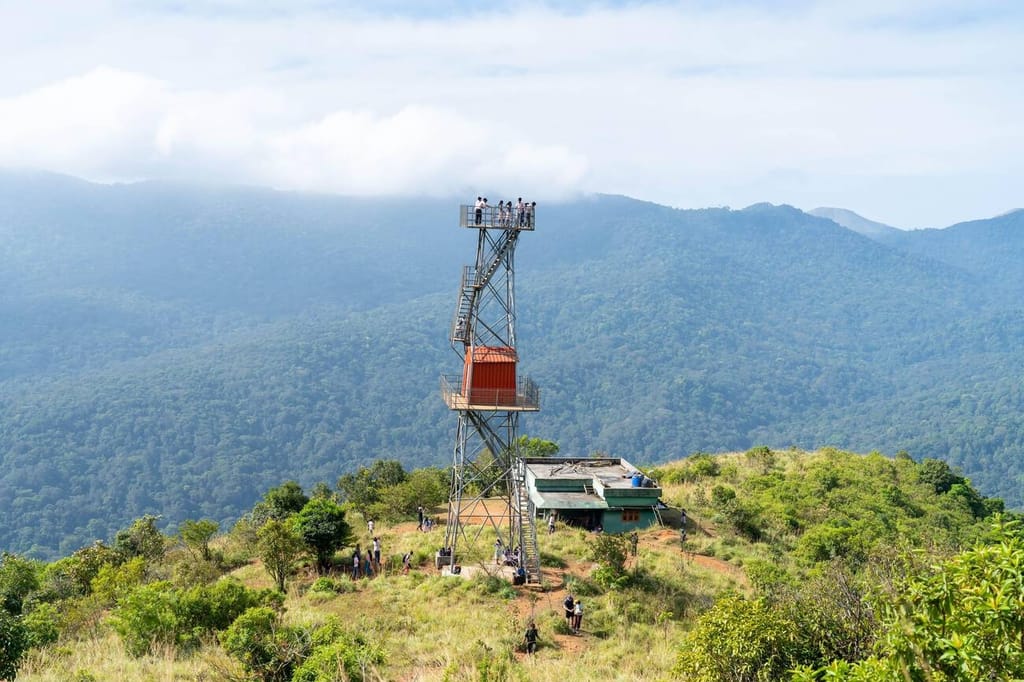 Trekking In Wayanad: Top 9 Trails And Essential Guide 2026
