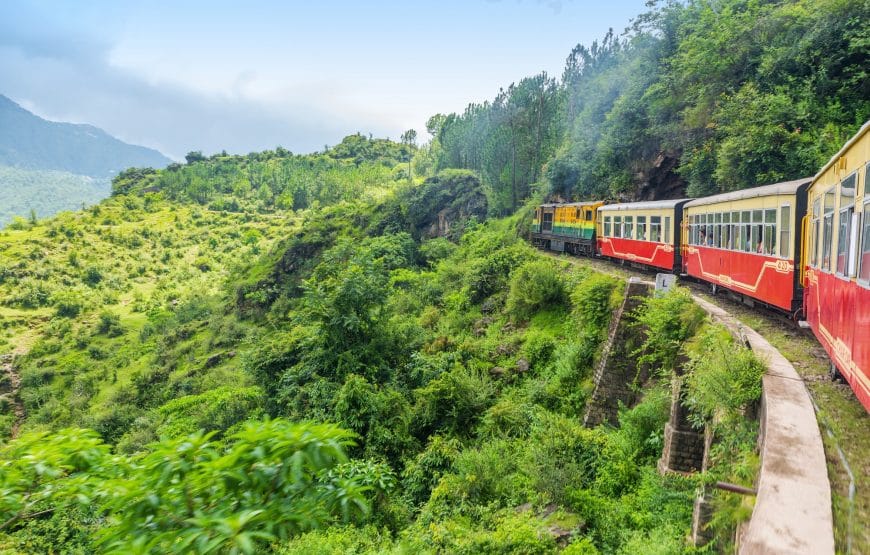 Salim Ali National Park: Kashmir’s Hidden Gem | Explore Now