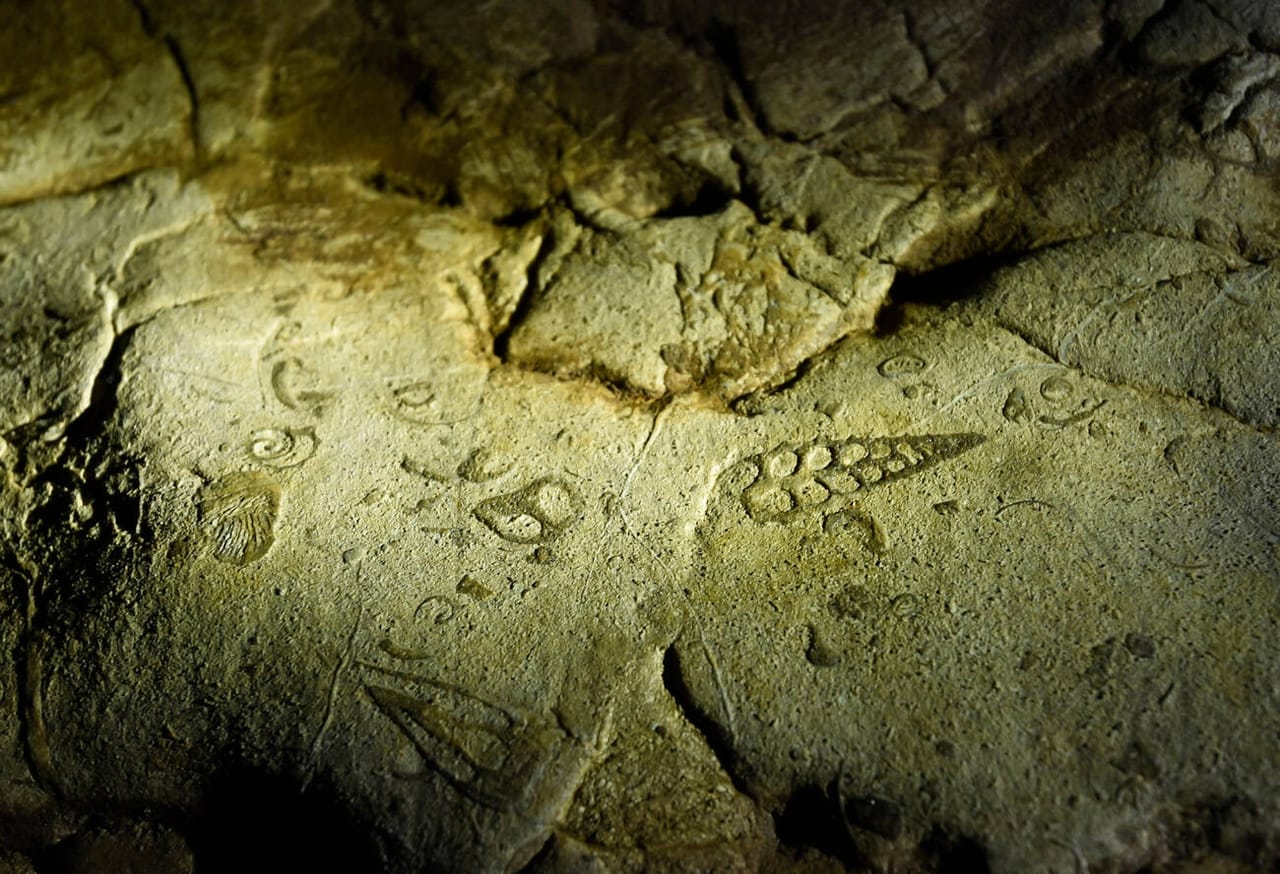 Arwah Cave in Meghalaya: How to reach, Best time, Travel tips