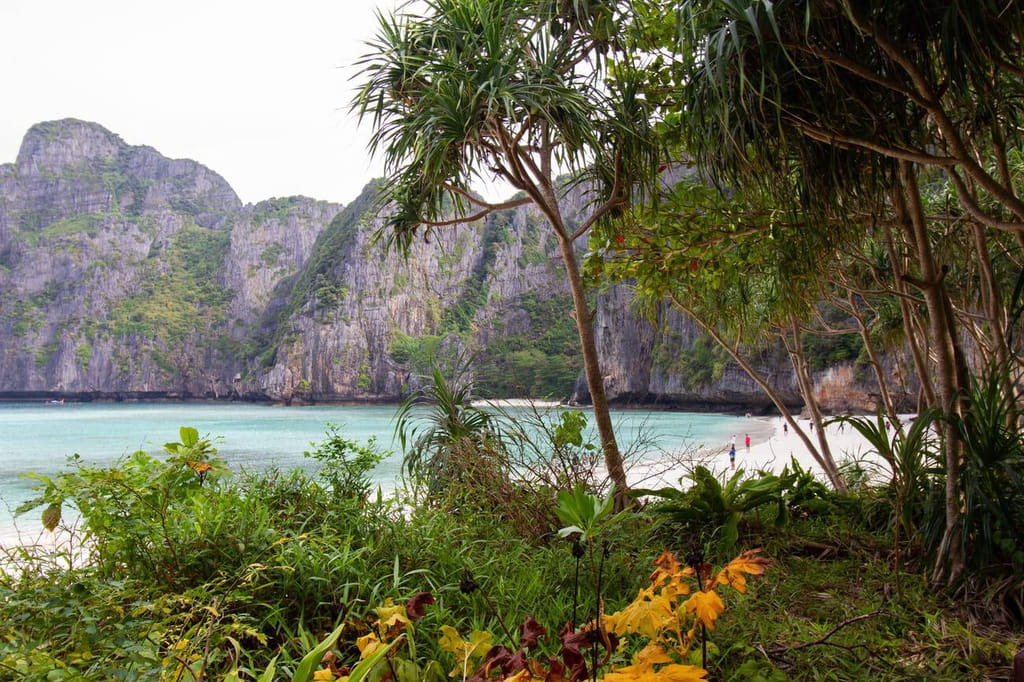 Phi Phi Islands Thailand: Your Complete Travel Guide 2026