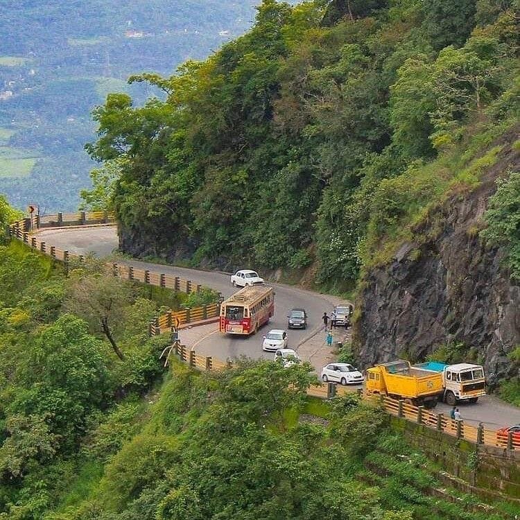 Wayanad Wildlife Sanctuary: Kerala’s 2nd Largest Reserve