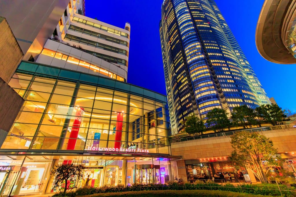 Ultimate Guide to Shopping in Japan for Tourists