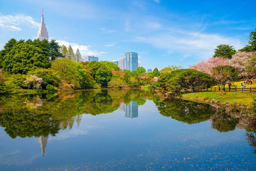 Shinjuku Gyoen National Garden Travel Guide for 2026!