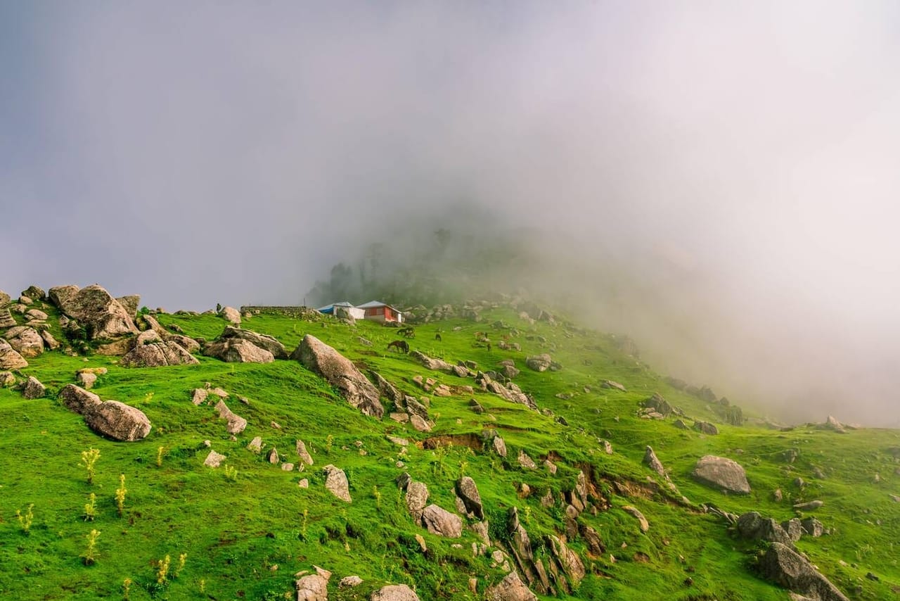 Explore the Kangra Valley in Himachal Pradesh Like Never Before