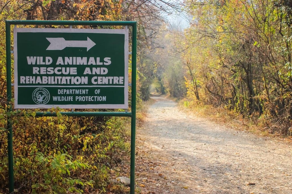 Dachigam National Park Kashmir: Your Guide To Adventure