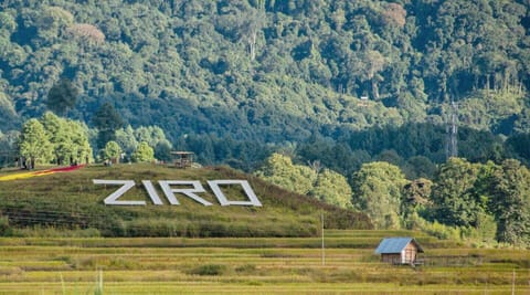 Ziro Music Festival Guide 2025 - Lineup, How To Reach, & Tickets