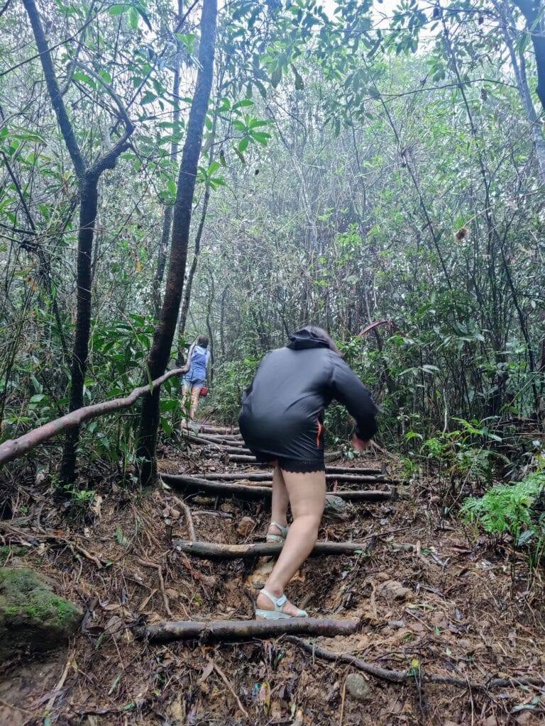 Complete Guide to Wei Sawdong Waterfall, Meghalaya (2026)