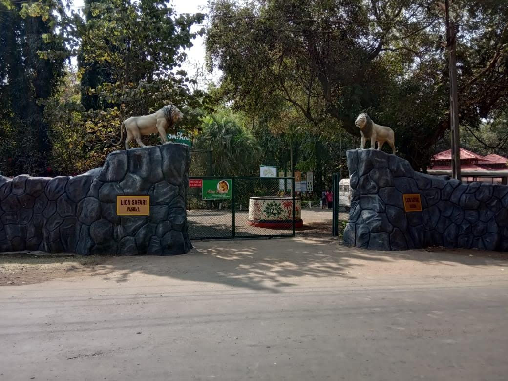 Ultimate Guide to Silvassa Vasona Lion Safari: Attractions, Timings and ...