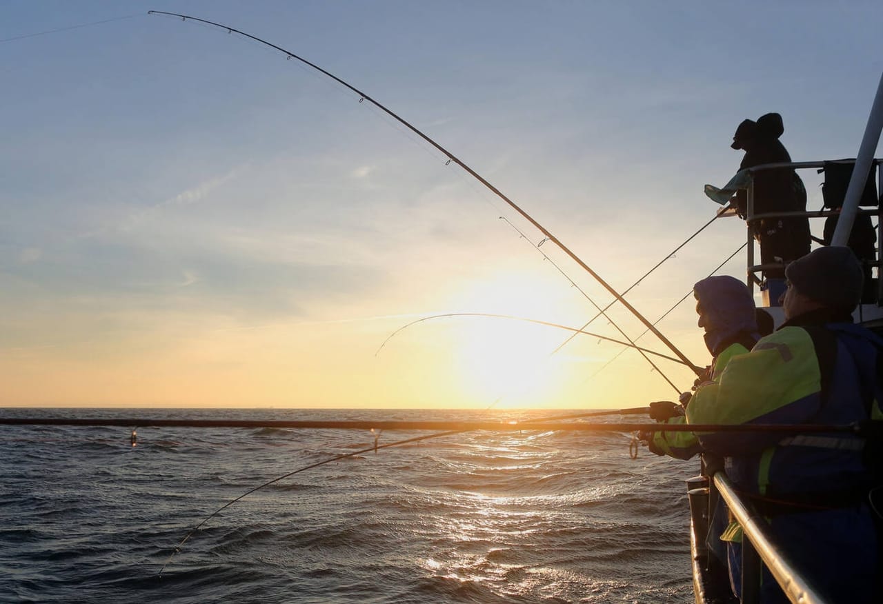 Fishing In Bali 2026: How To Fish, Types, And The Best Spots