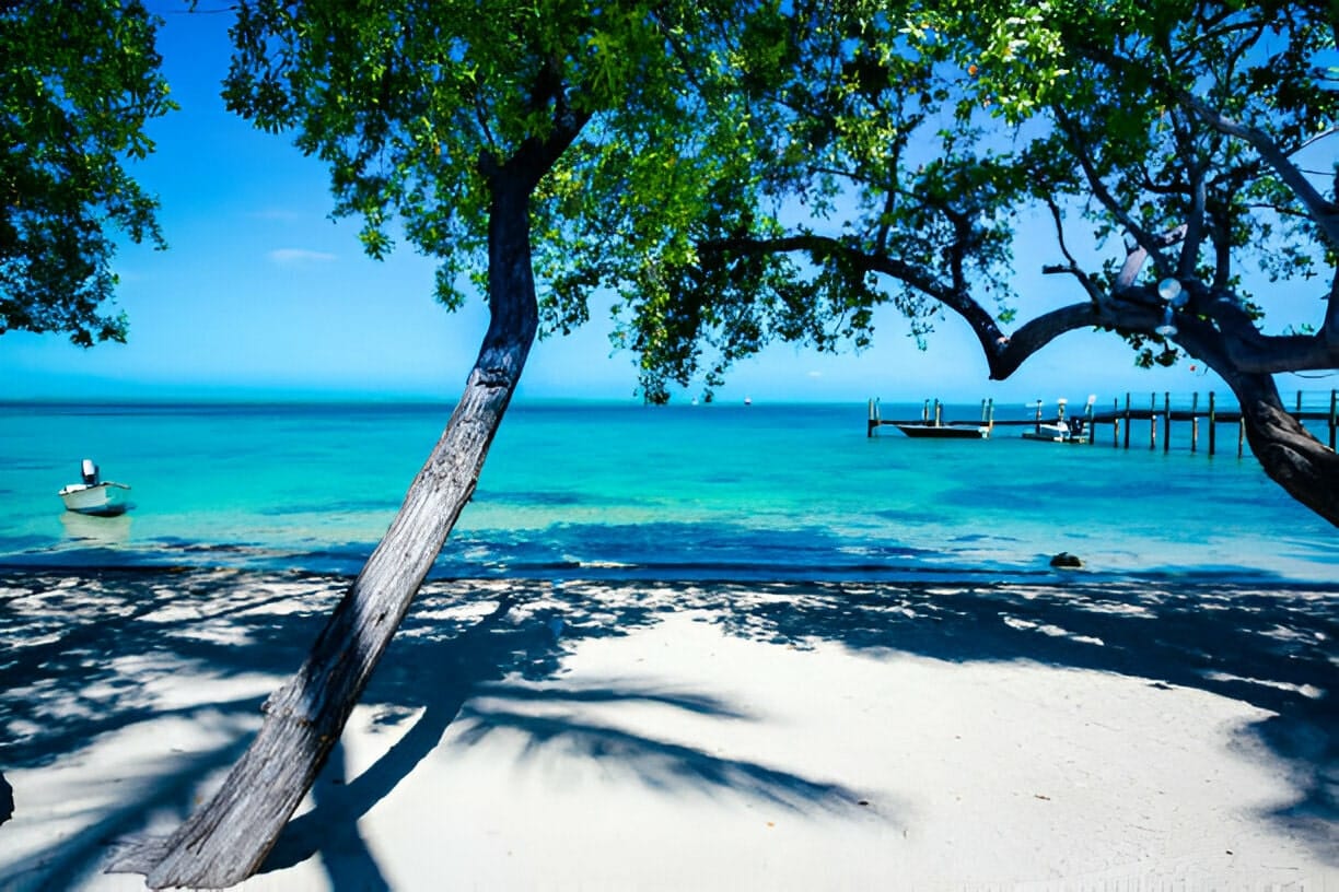 Your Ultimate Travel Guide for Wandoor Beach | Andaman 2026