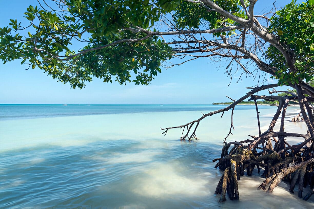 Your Ultimate Travel Guide for Wandoor Beach | Andaman 2026