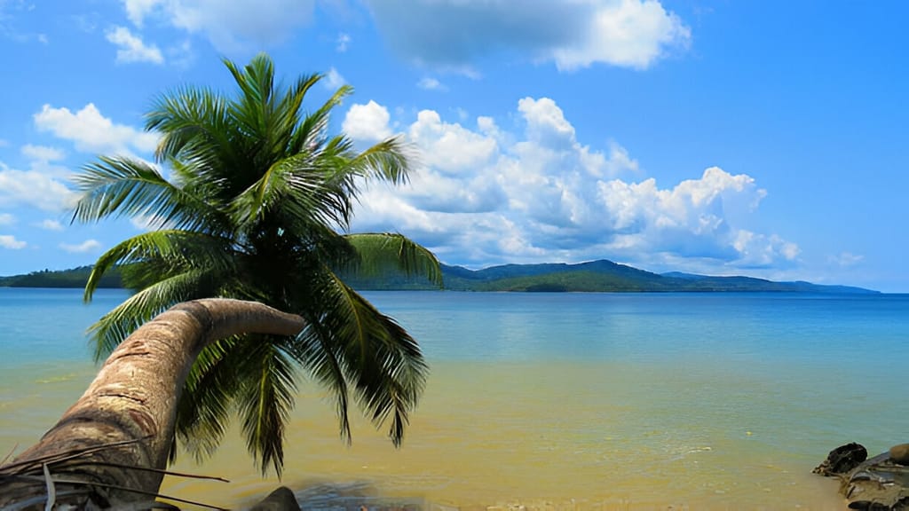 Aves Island, Andaman | Your Ultimate Guide for 2026