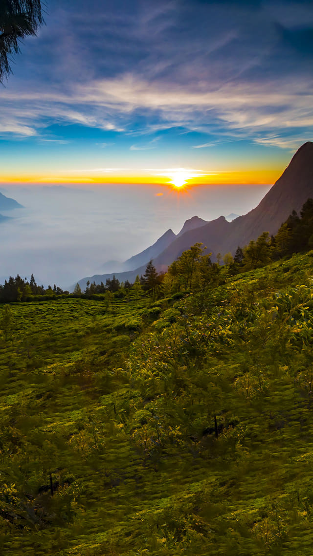 Top 8 Places to Visit in Kalpetta | Ultimate Travel Guide