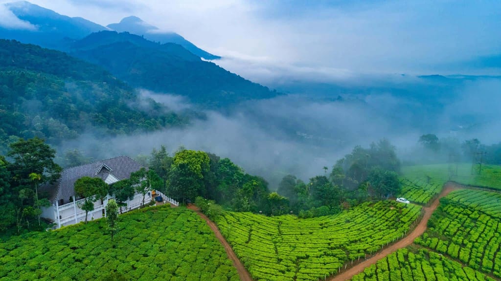 Your Ultimate Munnar Travel Guide: What to See and Do