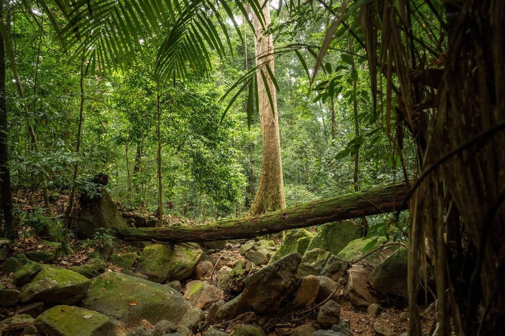 30 Places to Visit in Malaysia: Cities, Islands & Nature | 2026 Guide