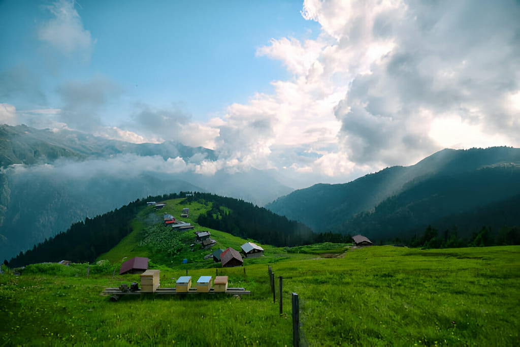 Yusmarg in Kashmir | Travelers Guide 2026