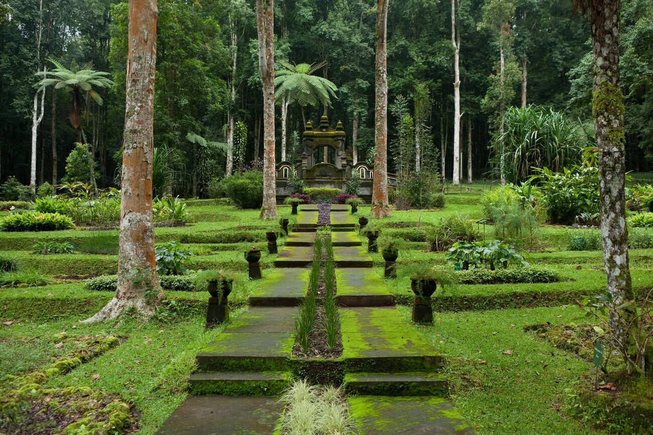 Bali Botanic Garden - Location, How To Get There, & Much More!