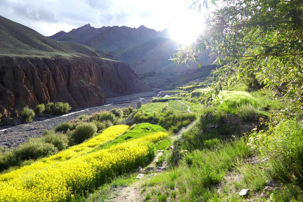 Markha Valley Trek 2025: Everything You Need to Know!