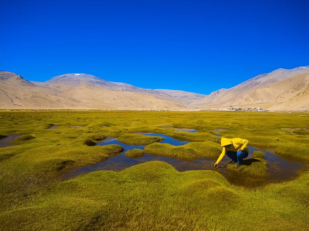 Puga Valley, Ladakh: Best Time, How to Reach, and More!