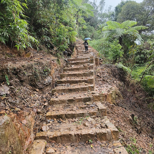 Phe Phe Falls Meghalaya – Best Time, How to Reach, and Tips