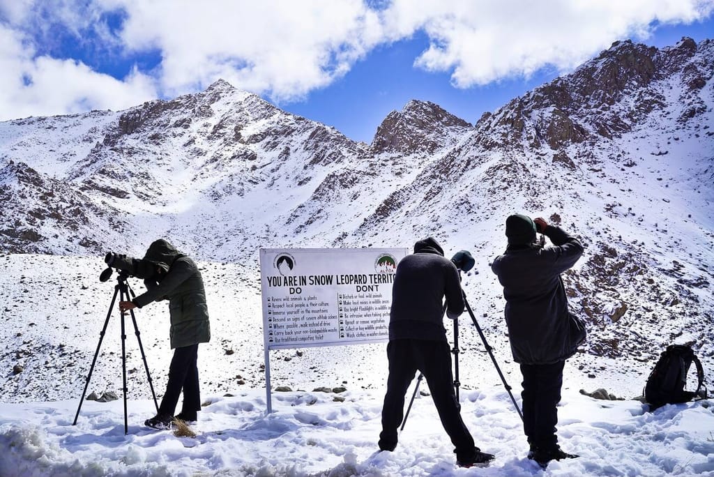 Your Ultimate Guide to Snow Leopard Trek in Ladakh