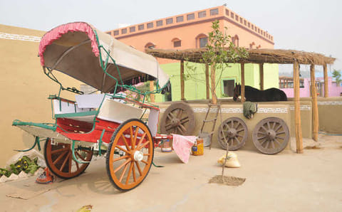 Unfold the rich cultural heritage at Sadda Pind Amritsar: Walk into ...