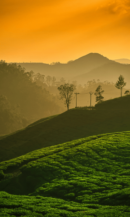 Top 8 Places to Visit in Kalpetta | Ultimate Travel Guide
