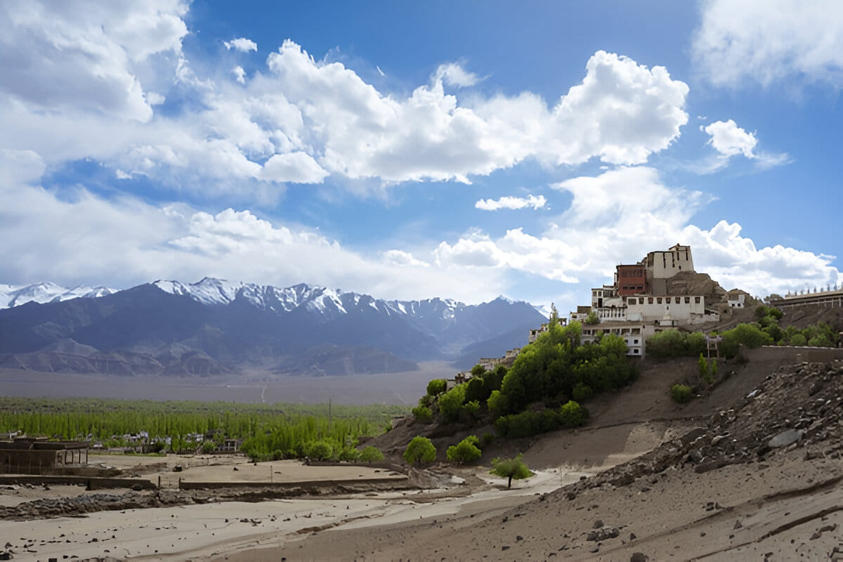 Complete Guide to Shey Palace and Monastery in Ladakh