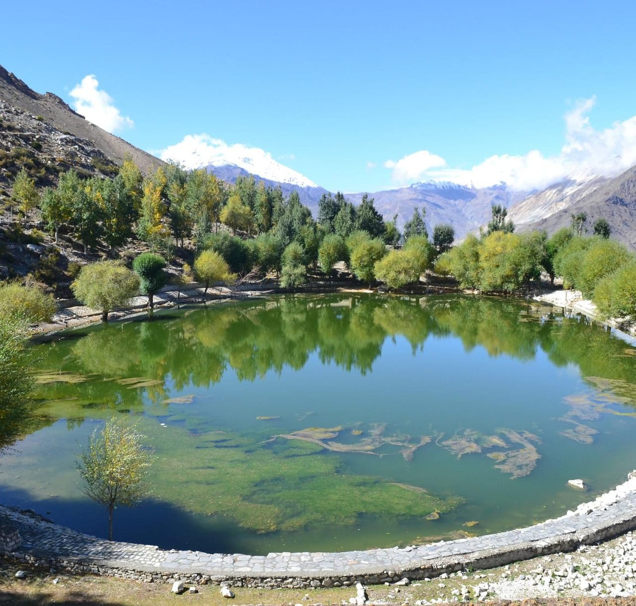 Nako Village: Travel Guide to the Himalayan Gem (2026)