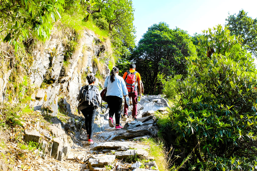 Experience 19 Thrilling Adventure Activities in Shimla: Your Ultimate Guide