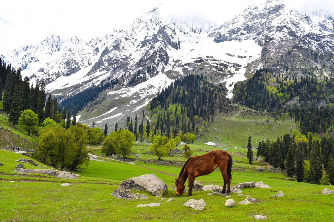 20+ Best Places To Visit in Kashmir: Complete Guide