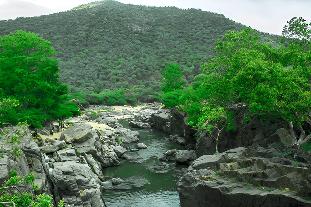 Best Time to Visit Hogenakkal Falls – A Complete Visitor’s Guide
