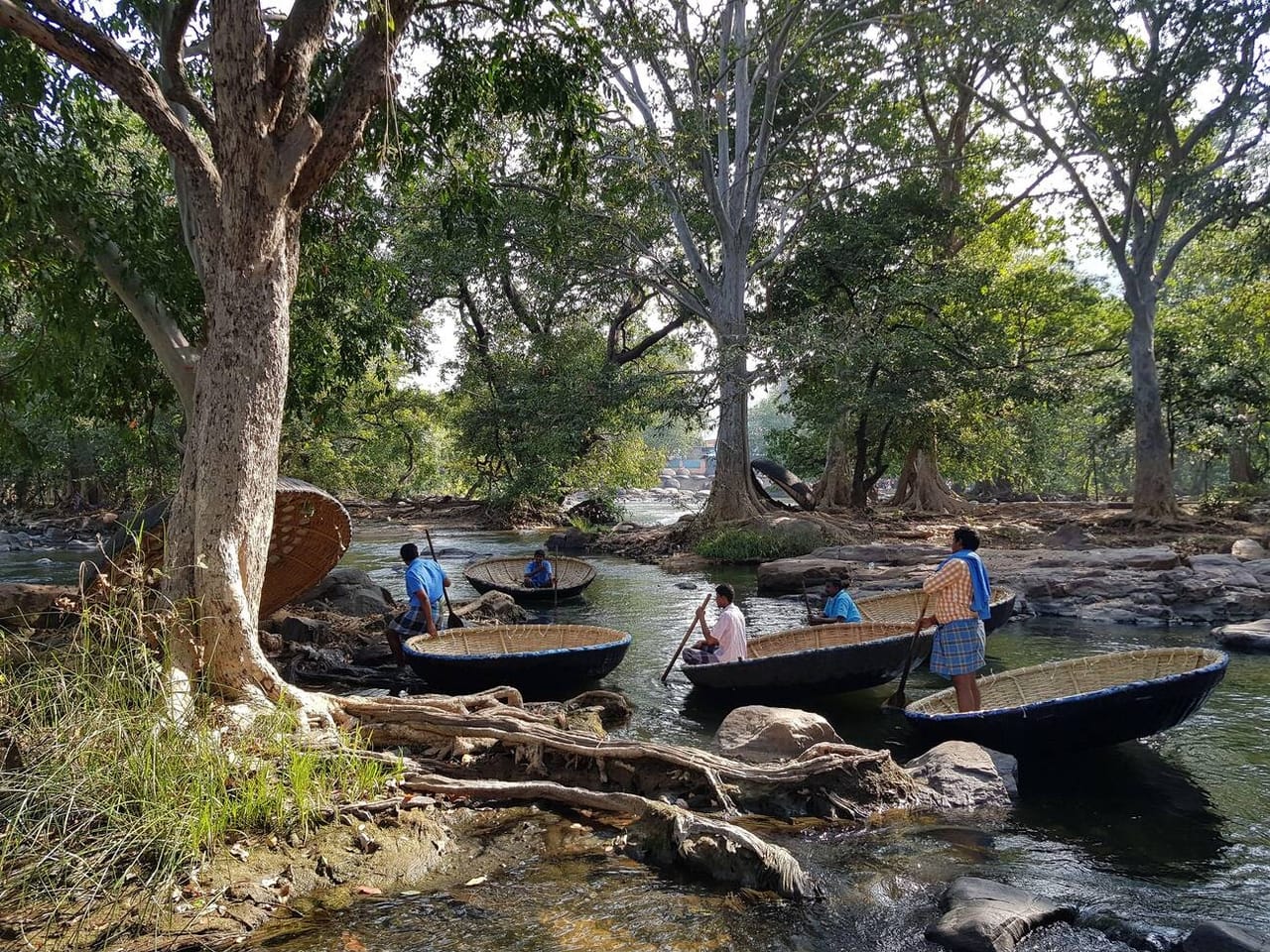 Best Time to Visit Hogenakkal Falls – A Complete Visitor’s Guide