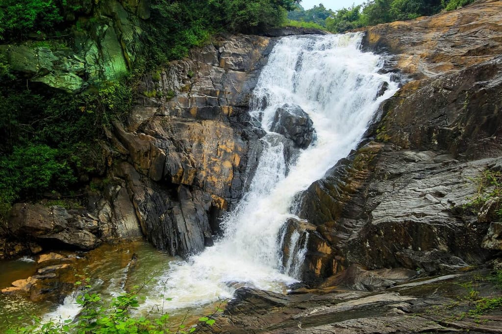 Top 8 Places to Visit in Kalpetta | Ultimate Travel Guide