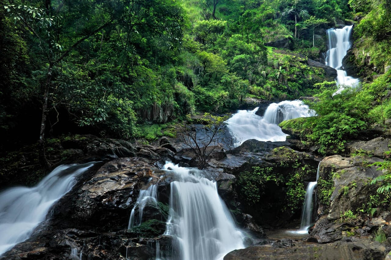 Mandalpatti Peak Coorg | Everything you need to know