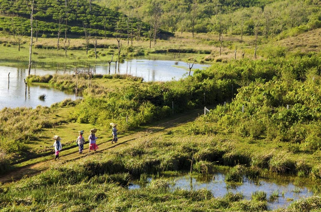 25 Popular Places To Visit In Vagamon for a Peaceful Trip