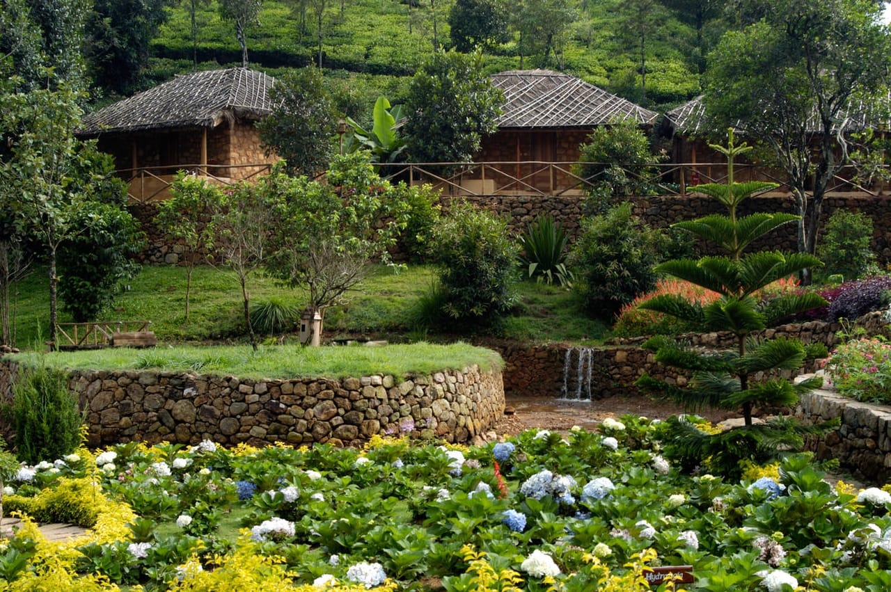 25 Popular Places To Visit In Vagamon for a Peaceful Trip