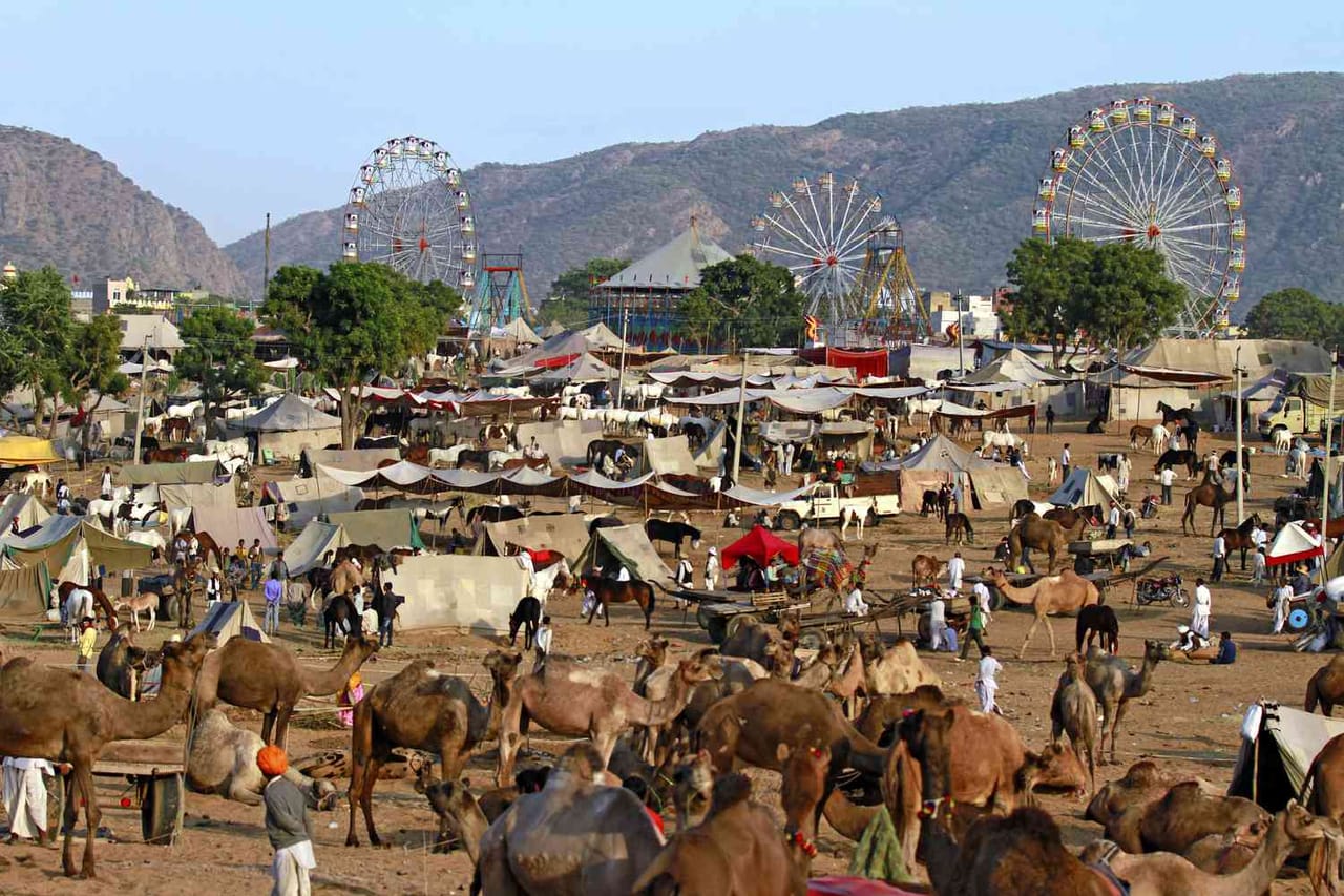 Pushkar Lake (2026) All You Need To Know