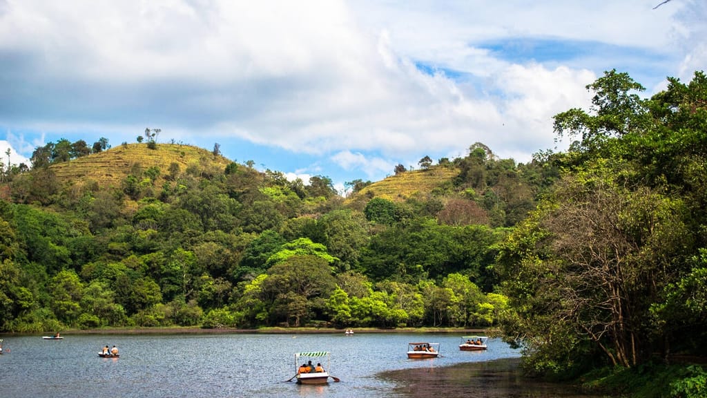 Quick Guide to the Best Places to Visit in Wayanad in 1 Day