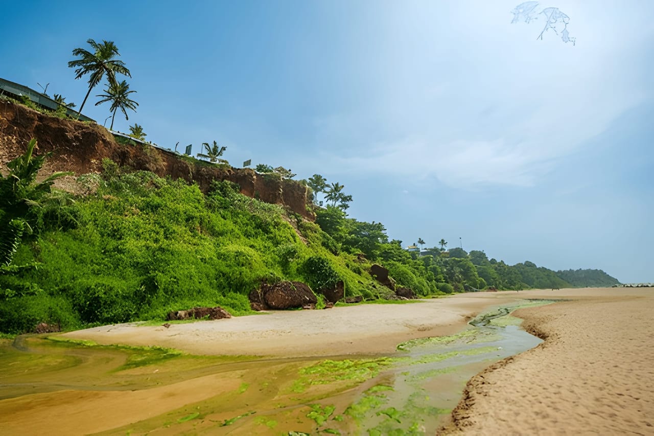 Varkala Beach in Kerala: Best Time, How to Reach, and Travel Tips
