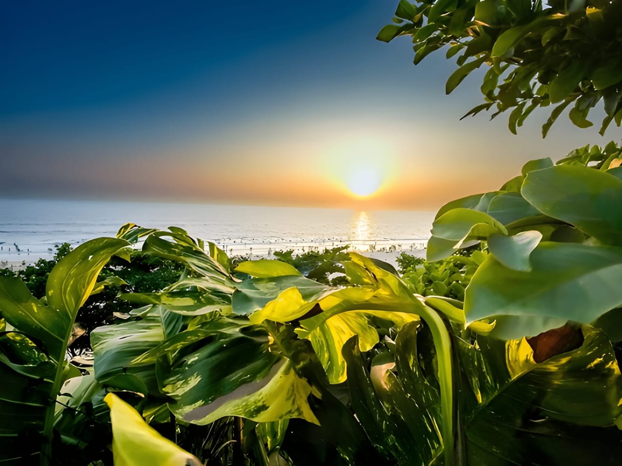 Varkala Beach in Kerala: Best Time, How to Reach, and Travel Tips