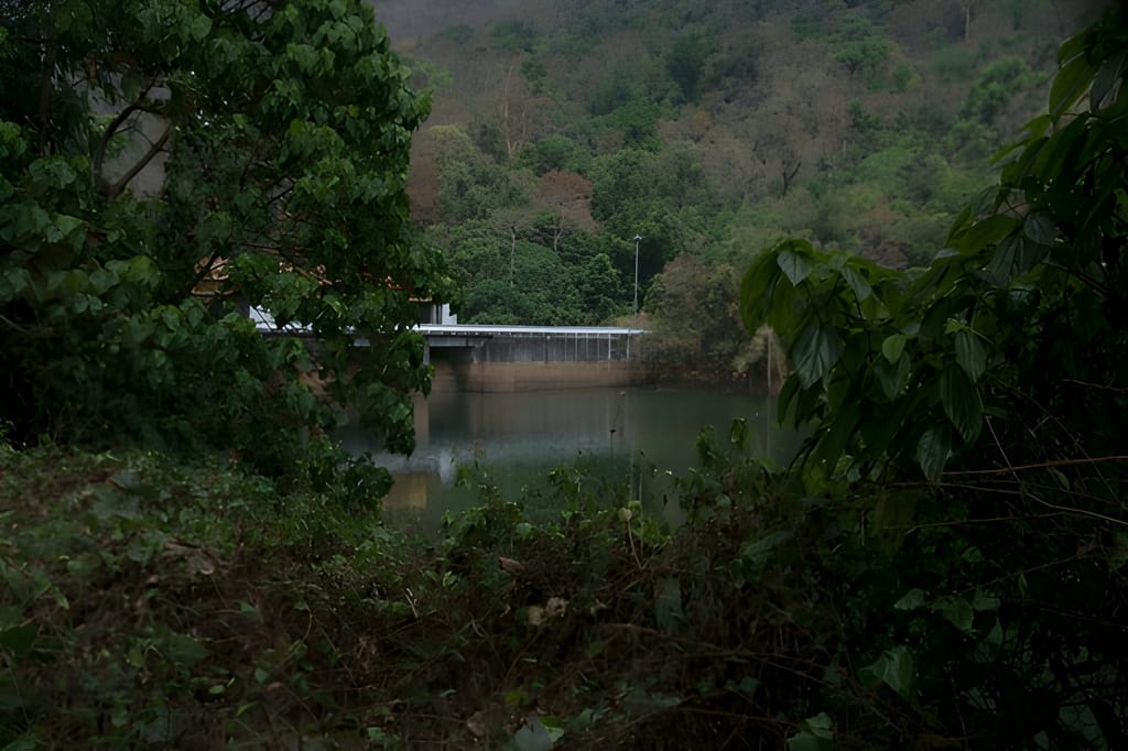 Top 10 Places with the Highest Rainfall in India