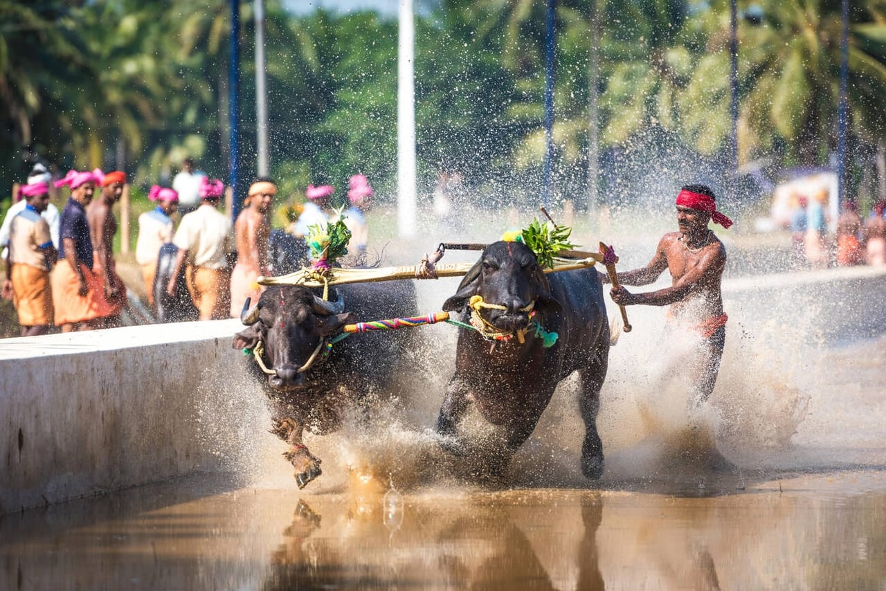20 Iconic Festivals in South India: Your Ultimate Guide