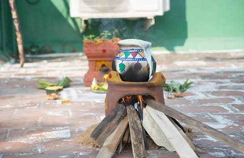 Pongal Festival 2026 | Dates, Popular Places to Celebrate, & More!
